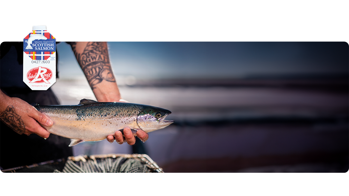 Legal notices - Label Rouge Scottish Salmon